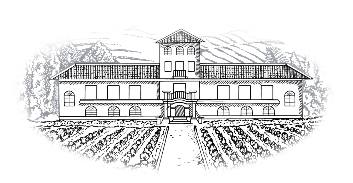 the wine source logo